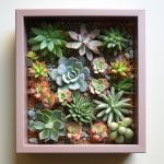 30 Creative Shadow Box Ideas to Turn Keepsakes into Art